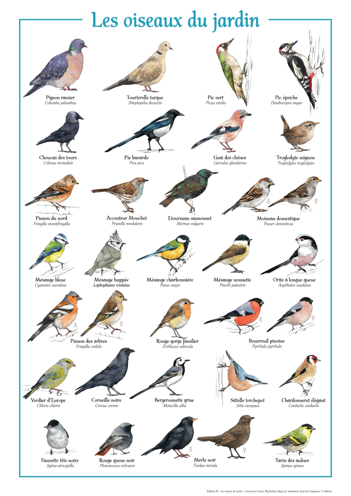 Affiche d'identification "les oiseaux du jardin" - le jardin des oiseaux