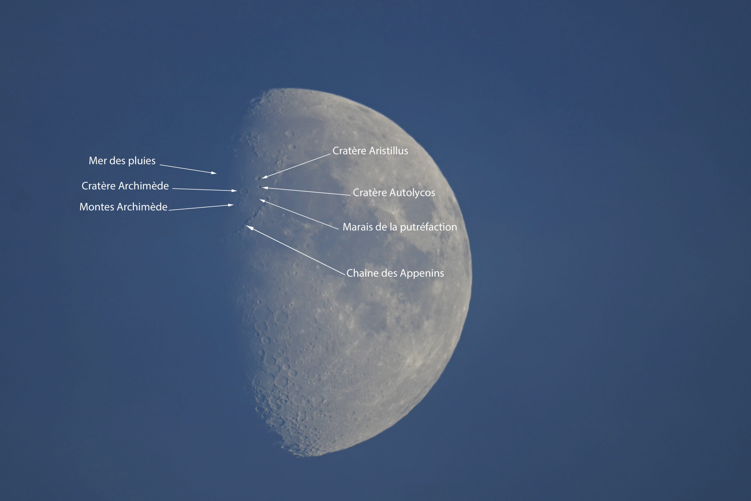 Marais de la putréfaction (Palus Putredinis) - le jardin des oiseaux